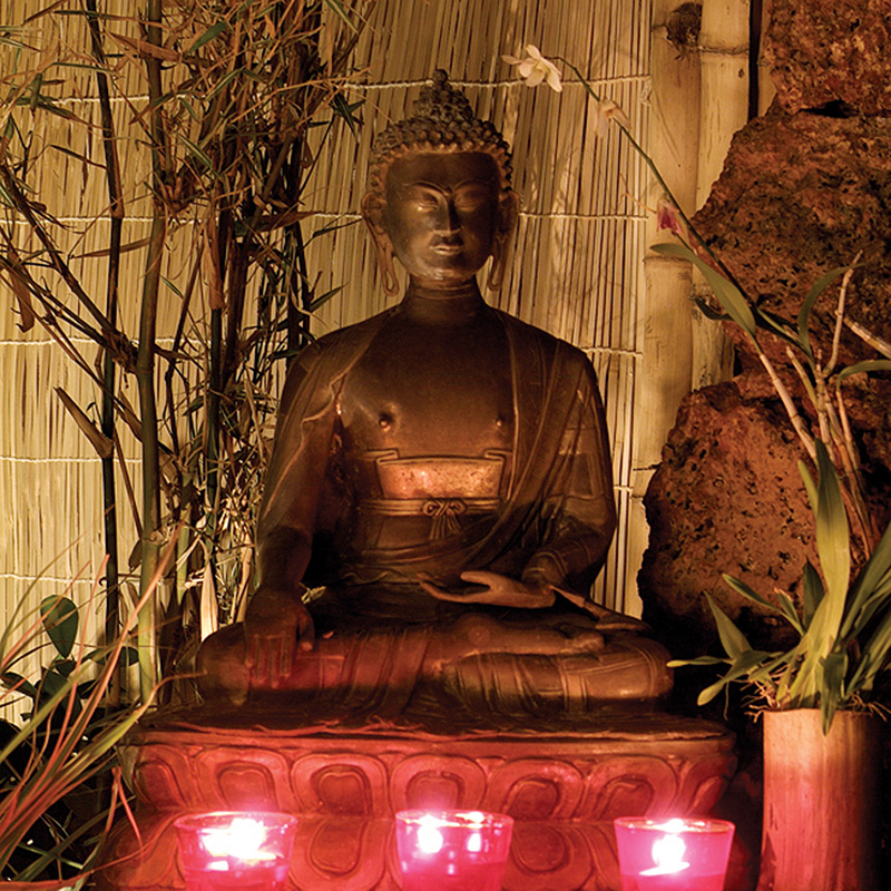 Buddhist Pilgrimage Tour